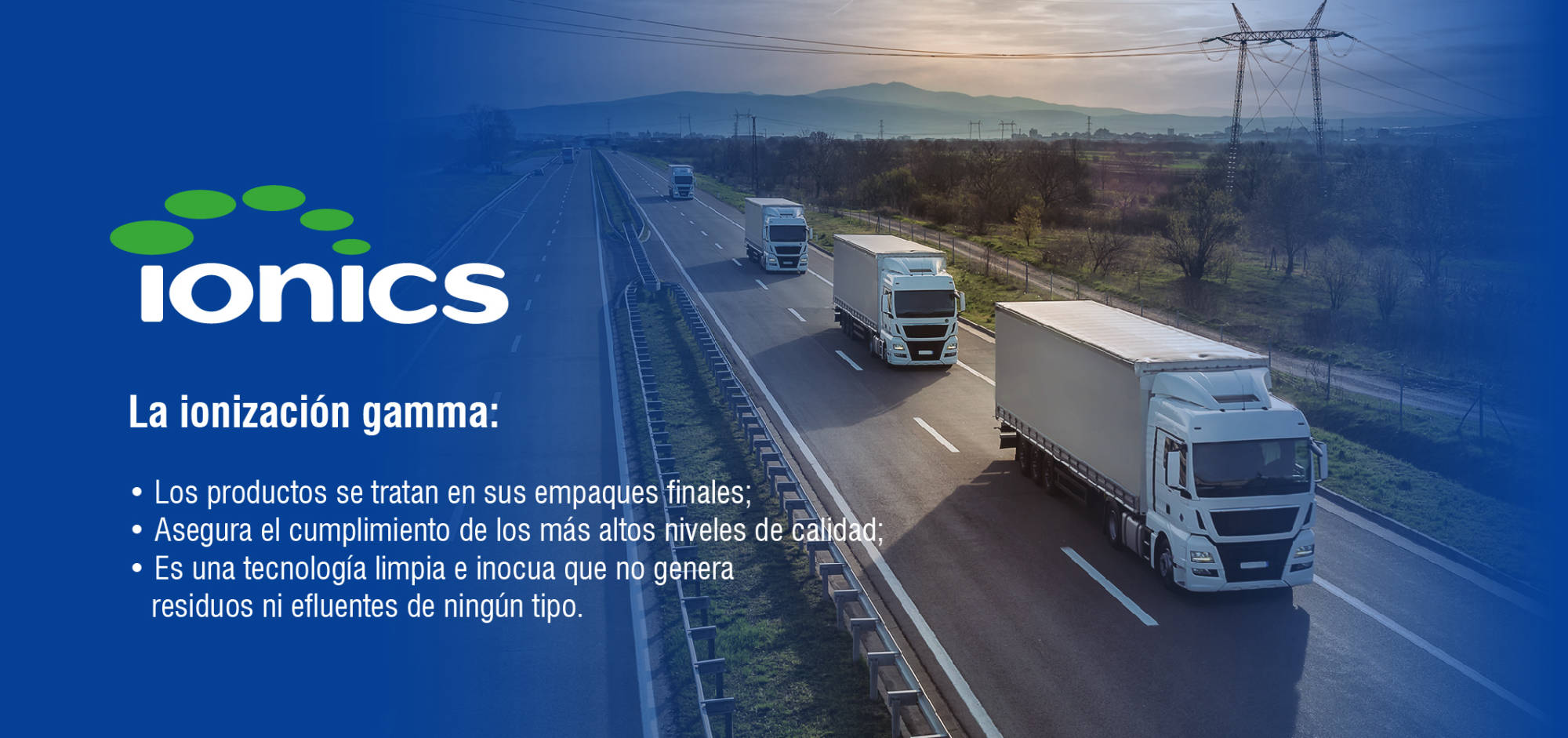 Ionics S.A. - Inicio